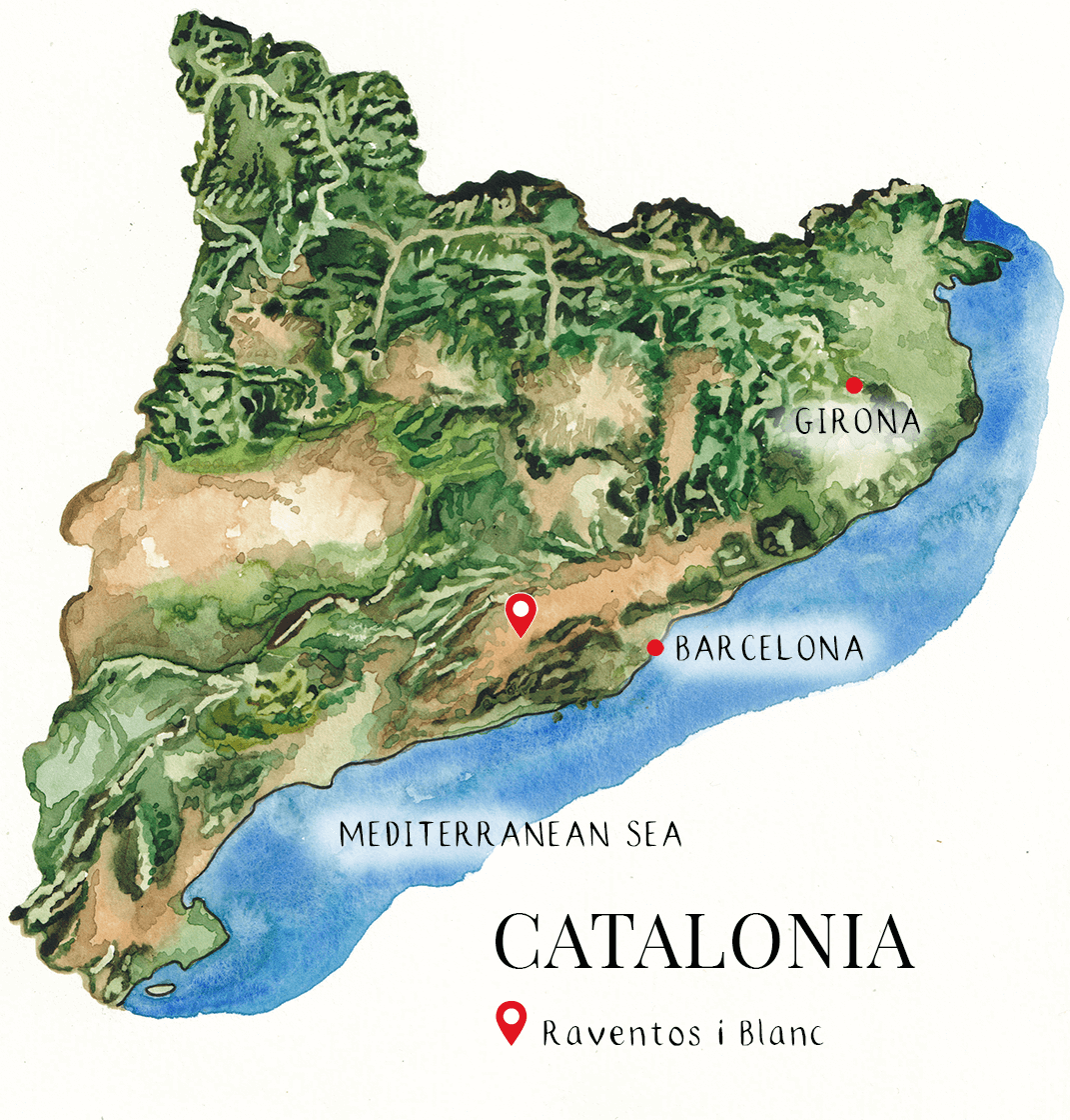 Raventos i Blanc Conca Del Riu Anoia Blanc de Blancs 2021 - taste56