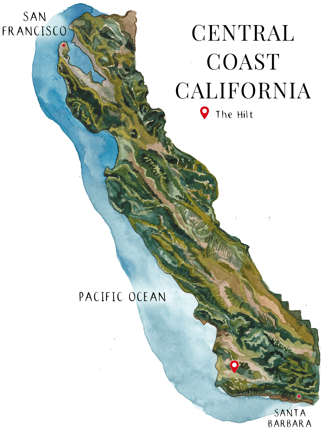 The Hilt Estate Pinot Noir 2019 - taste56