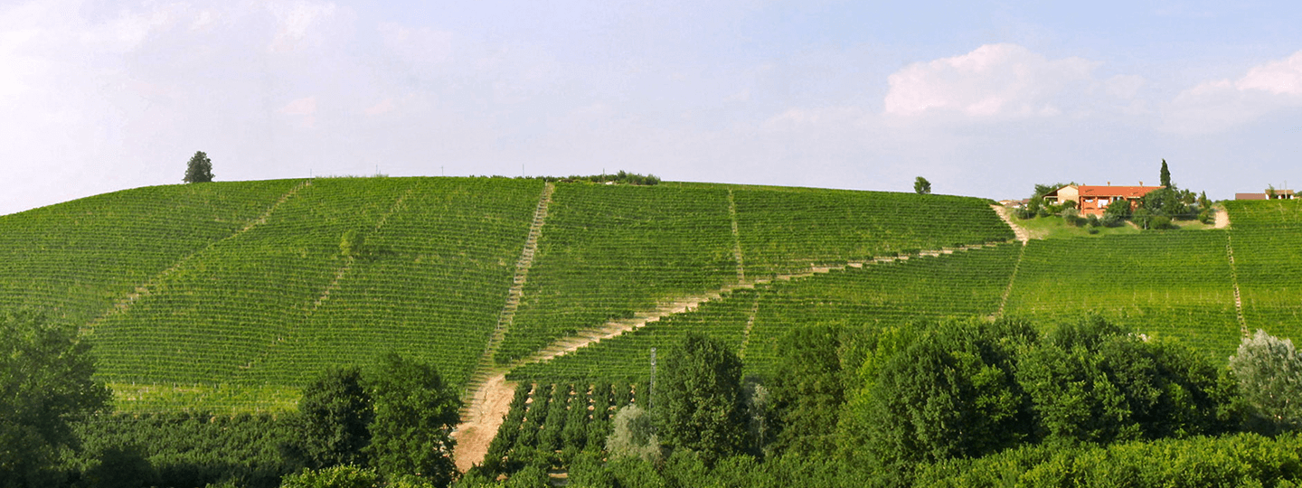 Castello di Neive Grignolino 2021 - taste56